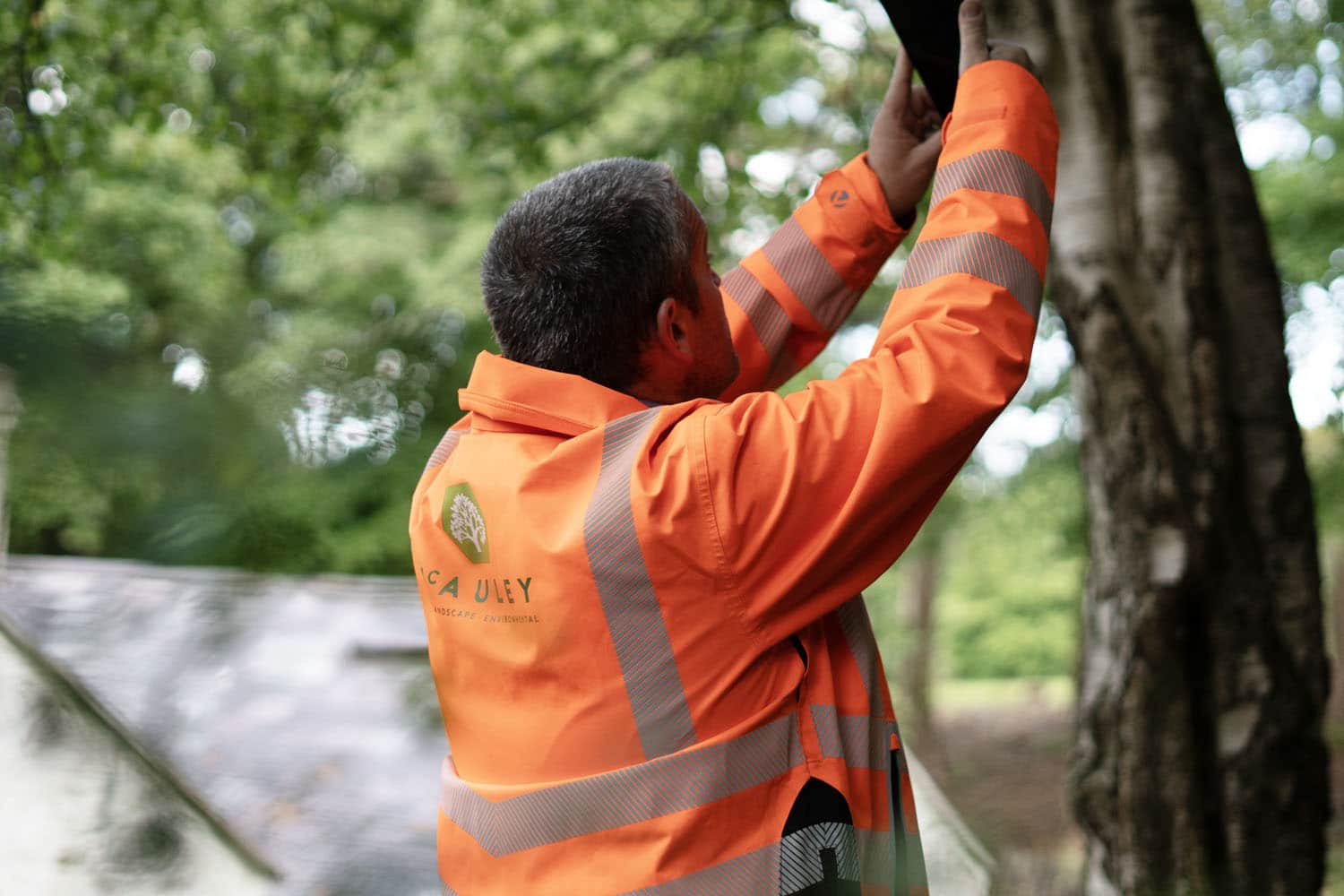 Top 5 Reasons to Book a Tree Health Check Every Year