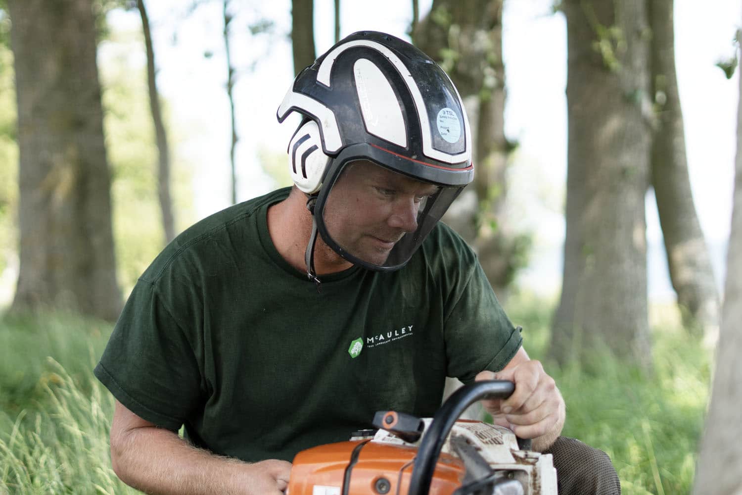 How Can You Find the Best Tree Surgeon in Belfast Today?
