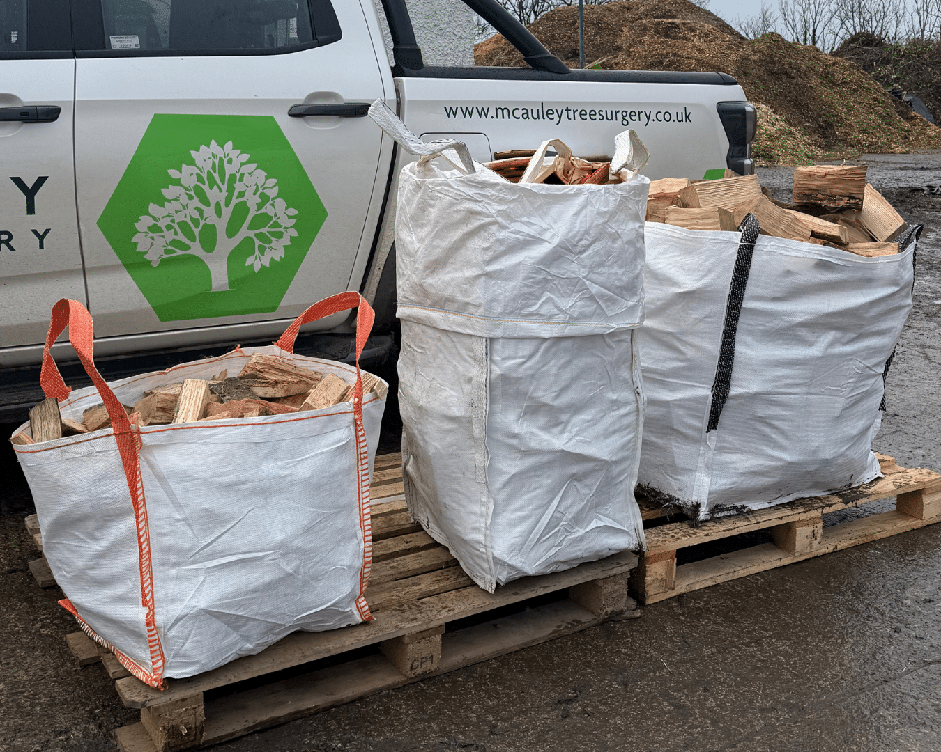 Belfast Tree Surgeons | Tree Surgery & Removal Service - McAuley